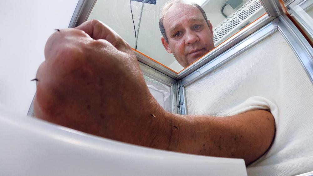 Vector Genetics Laboratory