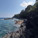 vector genetics lab uc davis